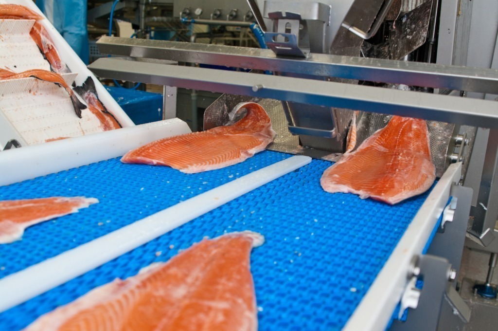 Request blades for Fish processing | LUTZ BLADES
